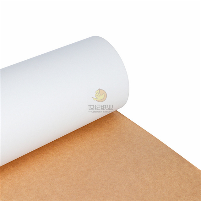 White top Coated Kraft Testliner 200GSM Duplex Board Grey Back Carton ...