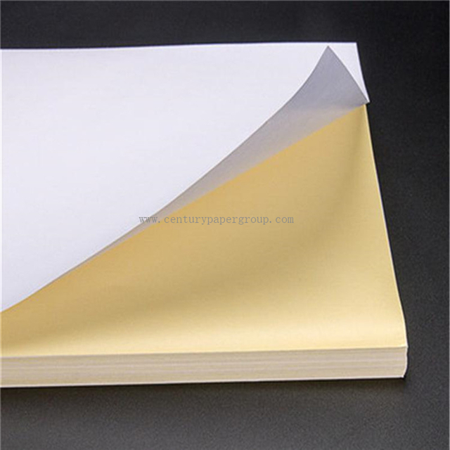 Self Adhesive Label Paper from China manufacturer - Century Paper Group ...