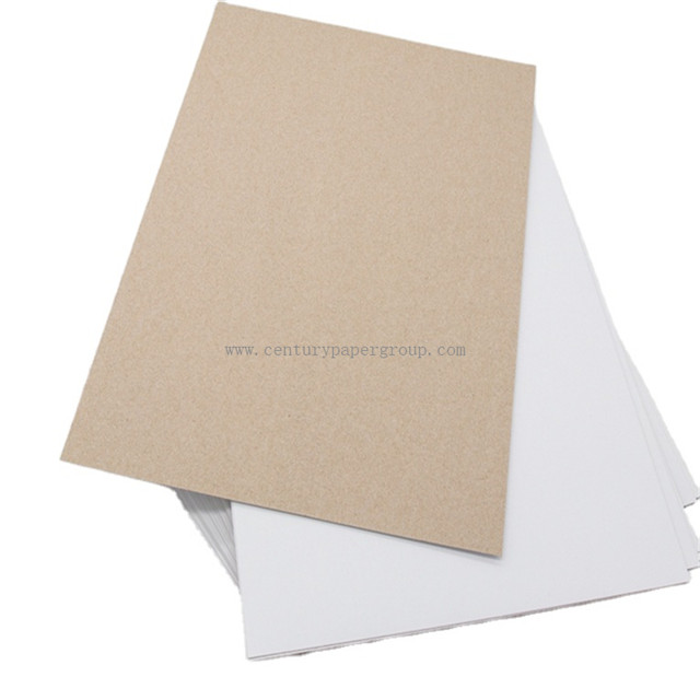 White Grey Back Duplex Board,Duplex Grey Back Duplex Board-Century Paper